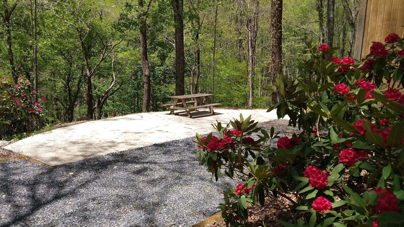 FHU Sites - Plumtree Campground and Retreat