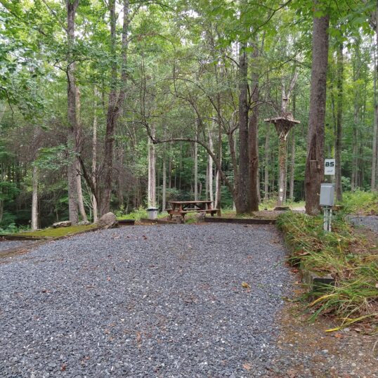 B1-6 Tent/Pop-Up Sites - Plumtree Campground and Retreat