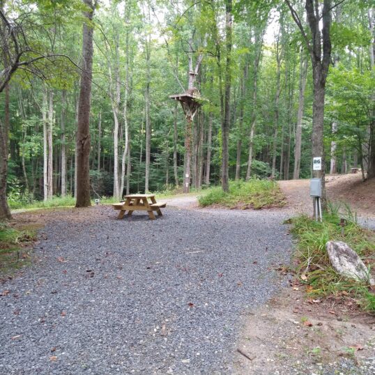 B1-6 Tent/Pop-Up Sites - Plumtree Campground and Retreat